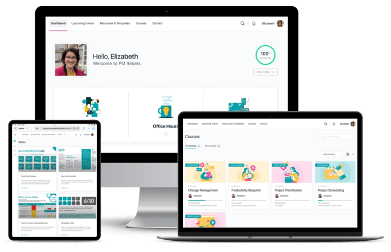 Project Management Rebels – Career development for project managers